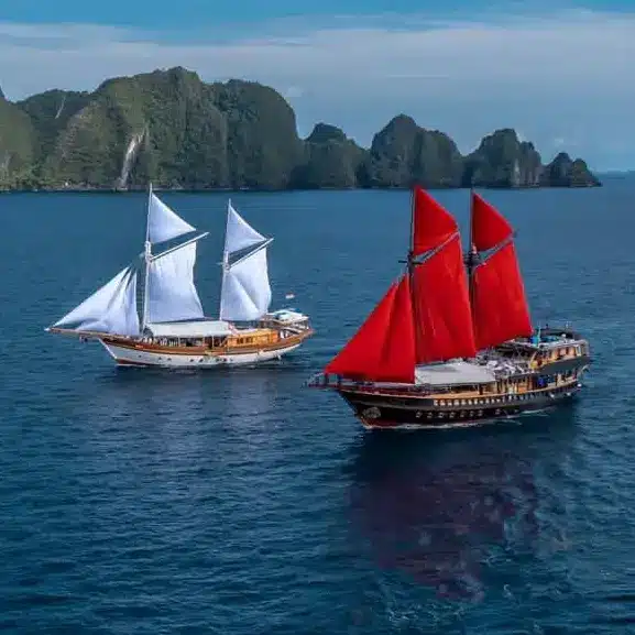 Calico Jack Charters - Your Ticket to Adventure!