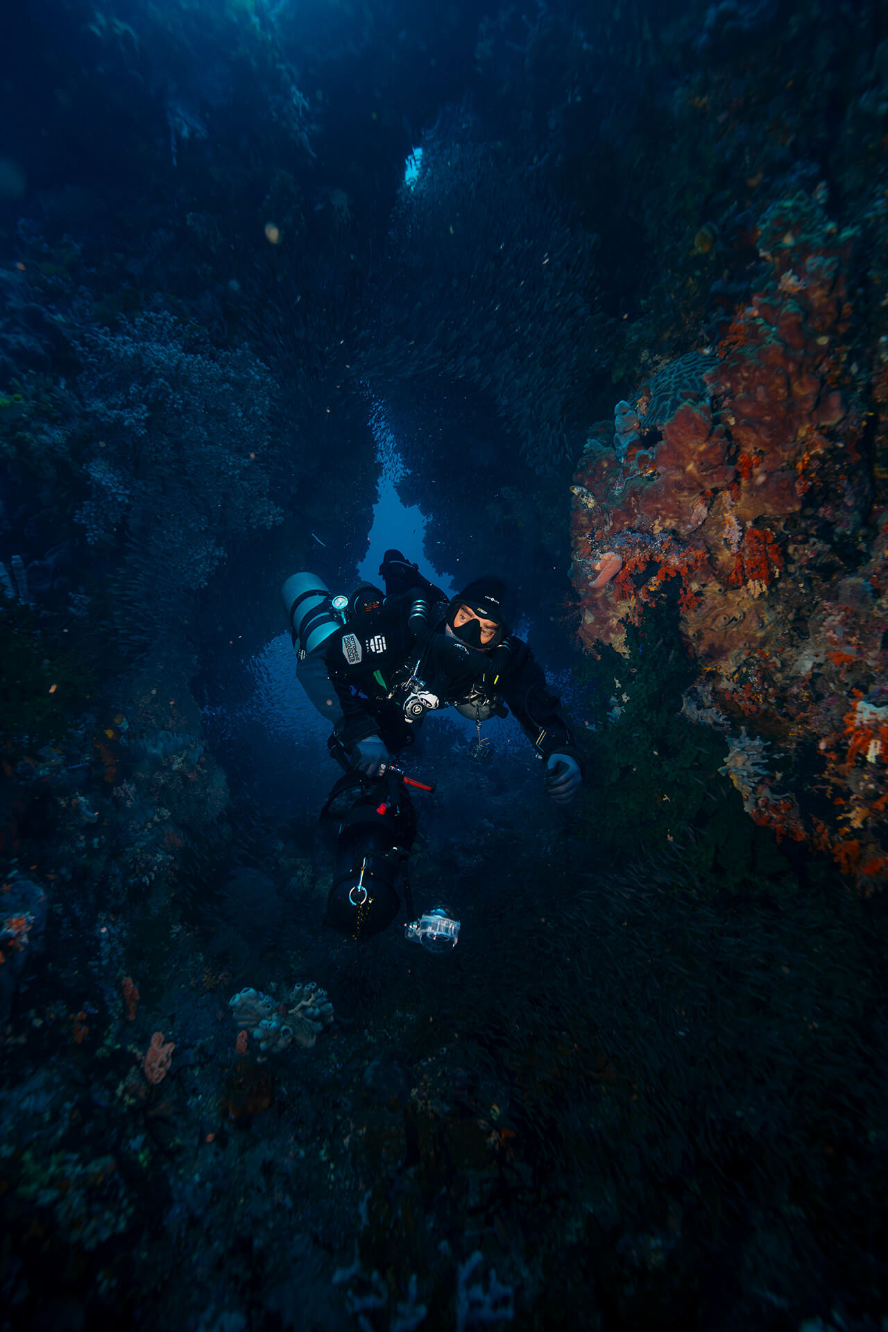 Diving with Calico Jack | Indonesia Liveaboard Expeditions